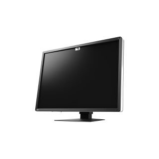 Eizo RadiForce RX1270 - 30,9-Zoll-Farbmonitor mit 12 Megapixeln für d